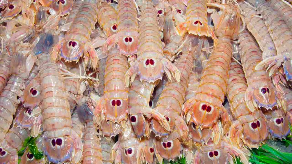 Le chiami Canocchie, Pannocchie o Cicale di mare ma al forno sono ...